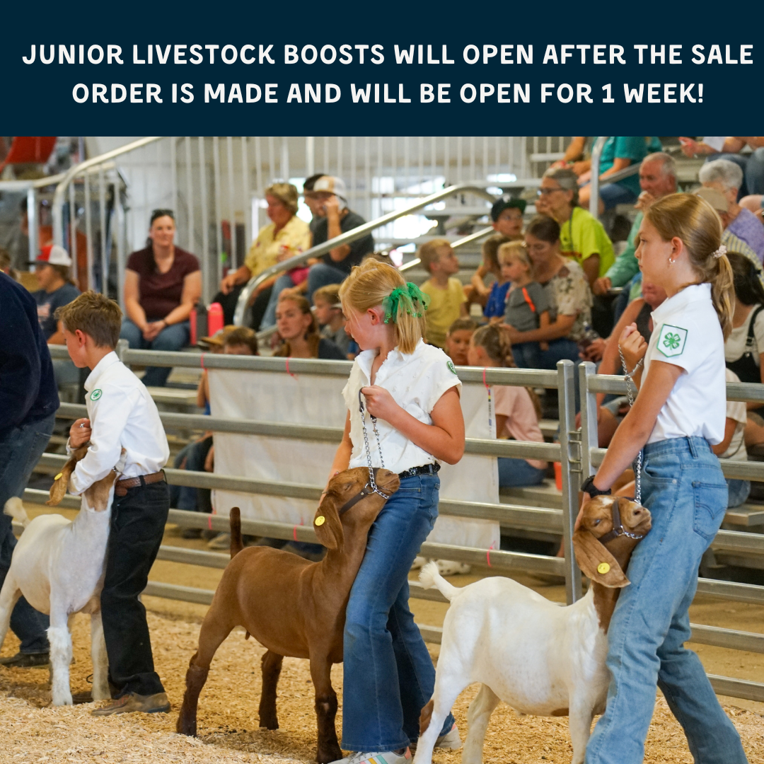 Official Site of Cache County, Utah - Fair & Rodeo