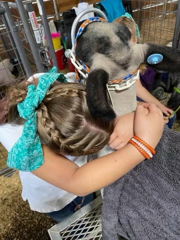 Official Site of Cache County, Utah - Fair & Rodeo